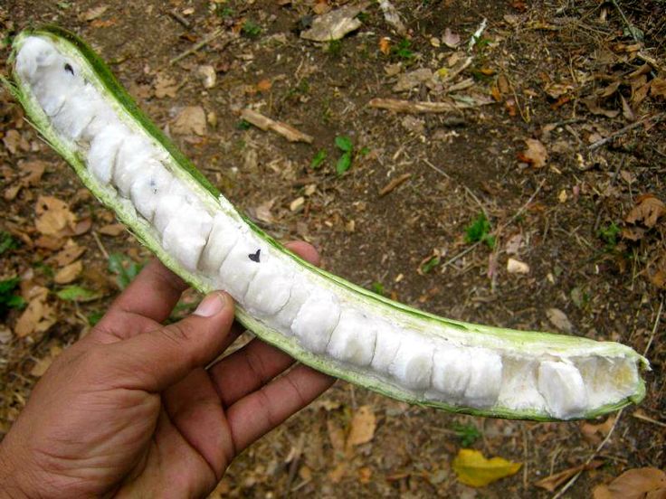 Presentation Name on emaze