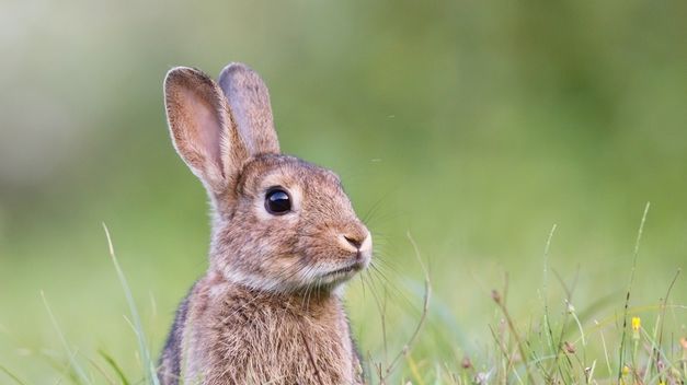 Presentation Name on emaze