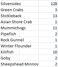 Field Research Unit 1 at emaze Presentation