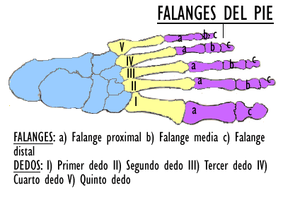 Presentation Name on emaze