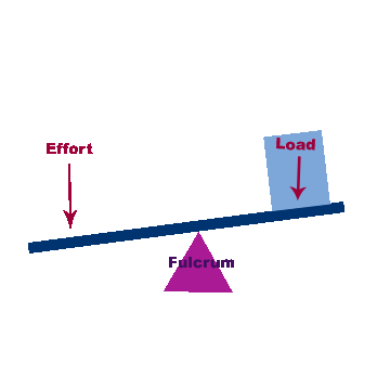 5E.Riley.Rube Goldberg Journals on emaze