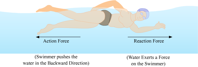 Newton's Laws of on emaze