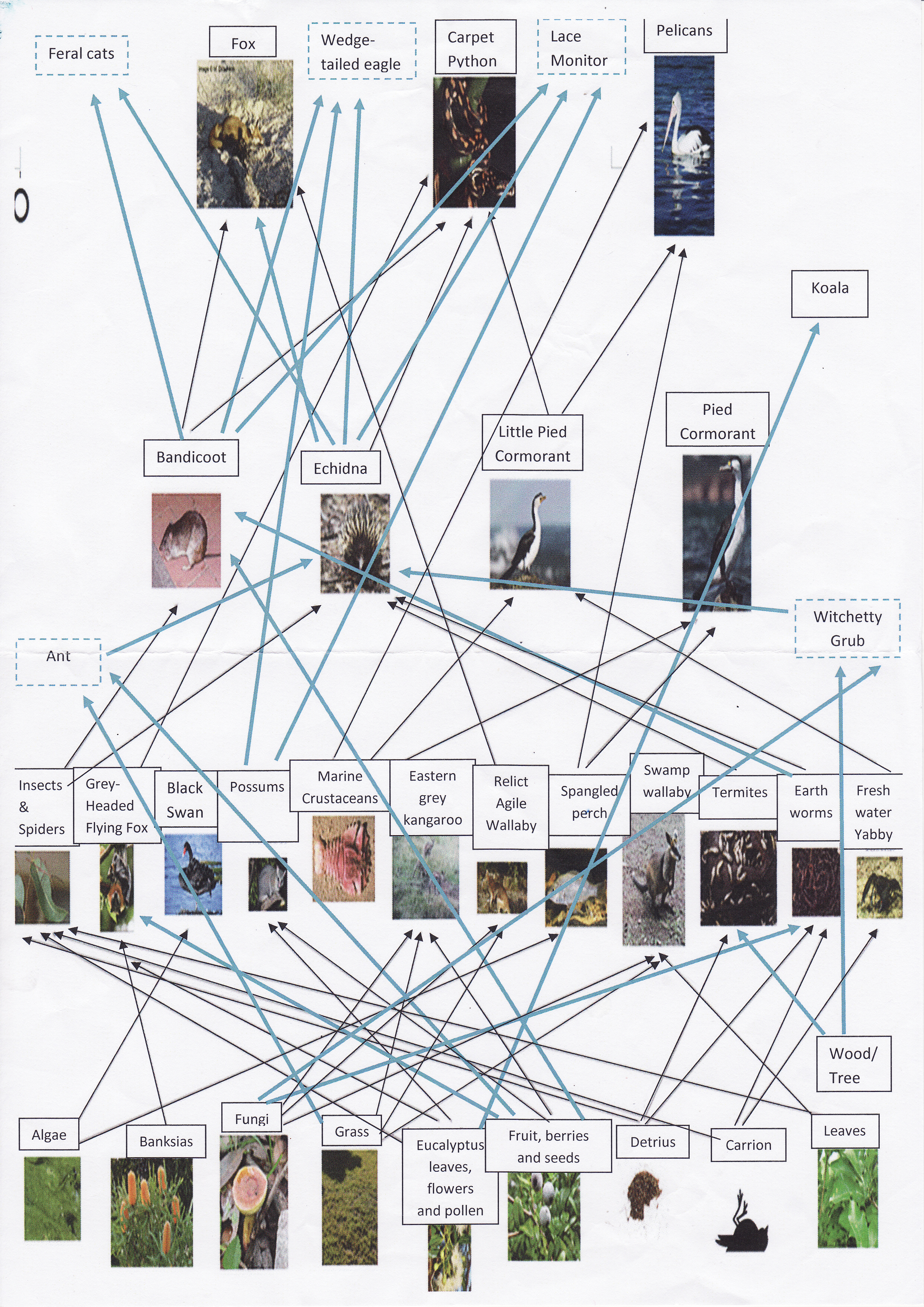 Stradbroke island at emaze Presentation