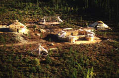 CrEE TRIBE on emaze