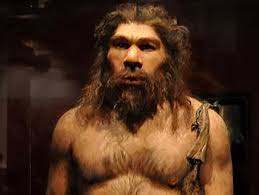 Los primeros Habitantes de America on emaze