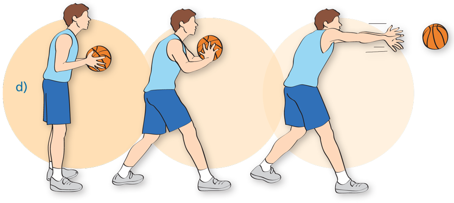 basquetboll on emaze