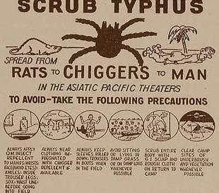 Typhus epidemic on emaze