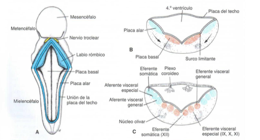 Untitled at emaze Presentation