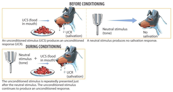 Module 26 Notes on emaze