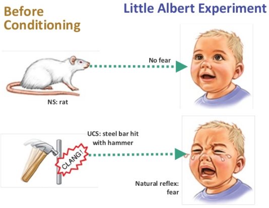 Module 26 Notes on emaze