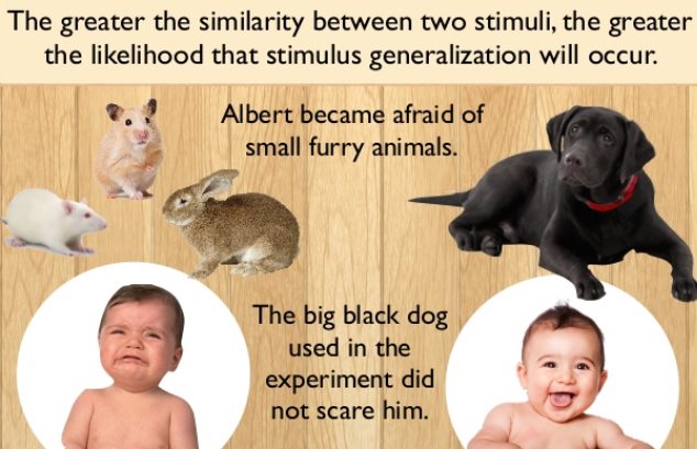 Module 26 Notes on emaze