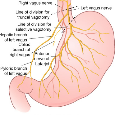 Presentation Name on emaze