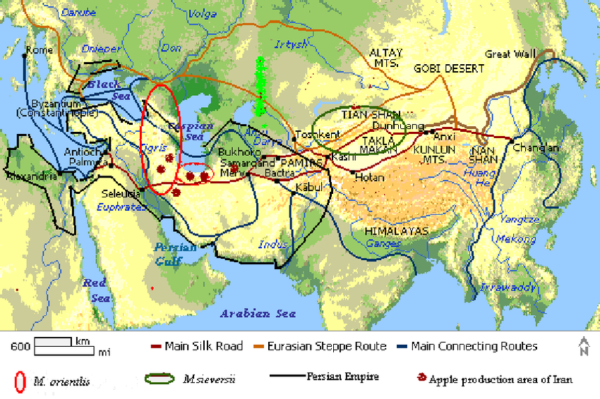 Persian Empire on emaze