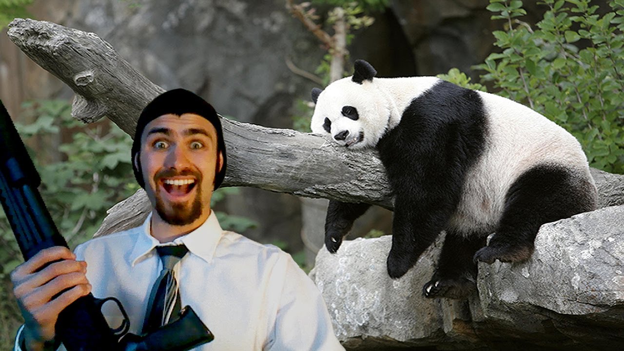 panda at emaze Presentation