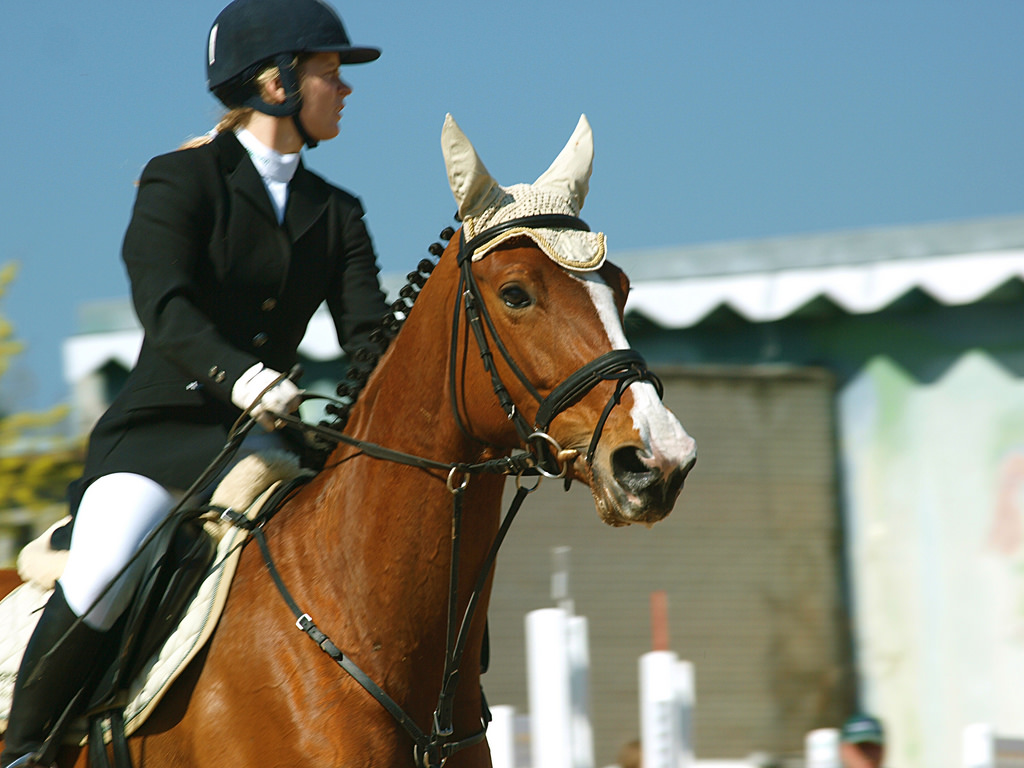 Equestrian at emaze Presentation