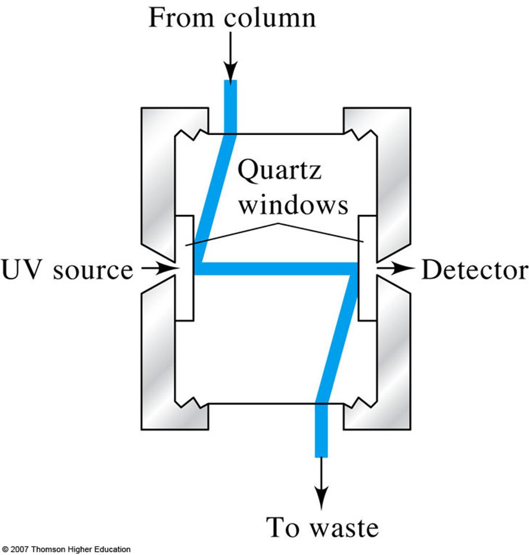 Presentation Name on emaze