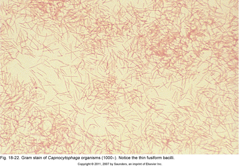 Presentation Name on emaze