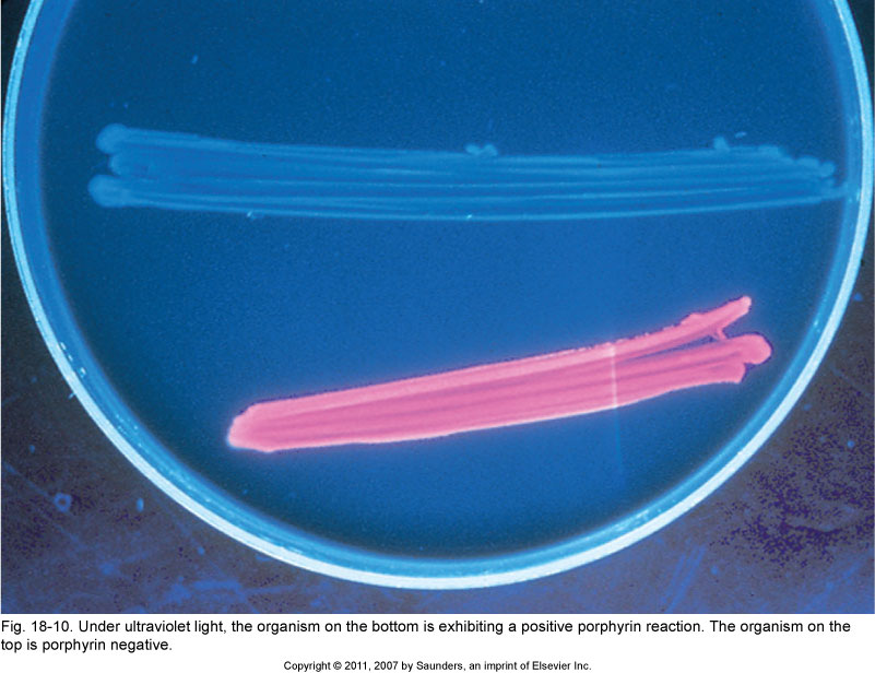 Presentation Name on emaze