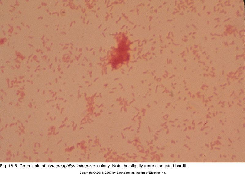 Presentation Name on emaze