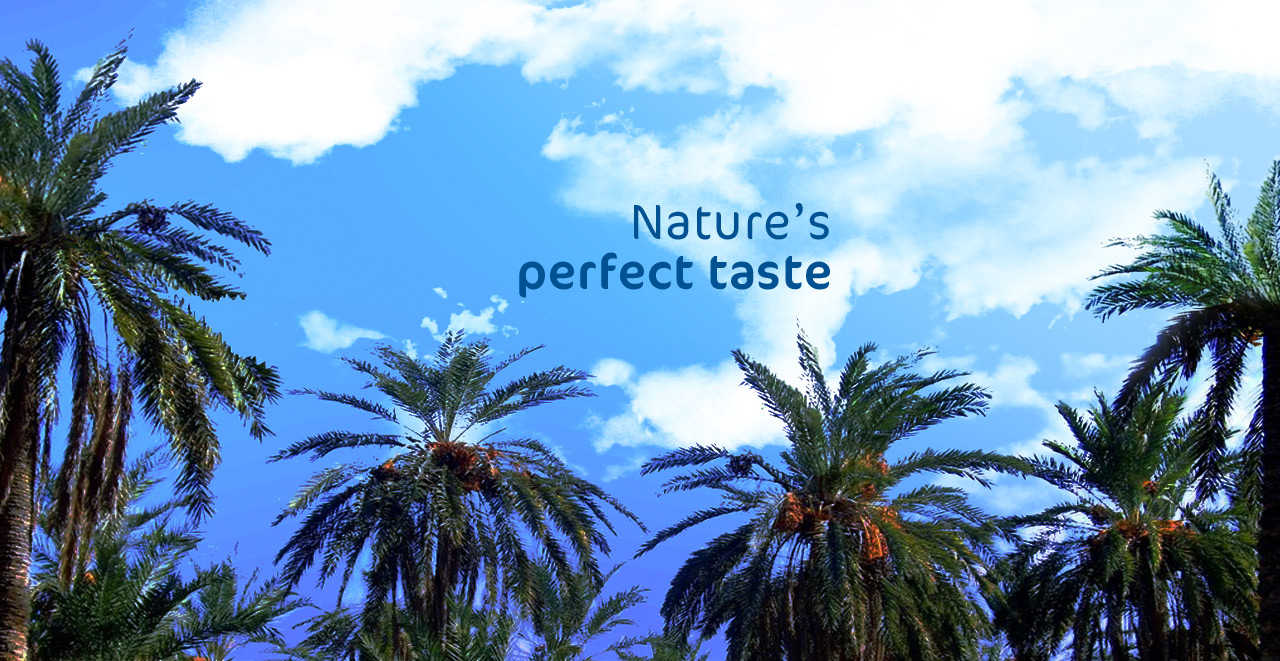 Al Rayyan Water at emaze Presentation