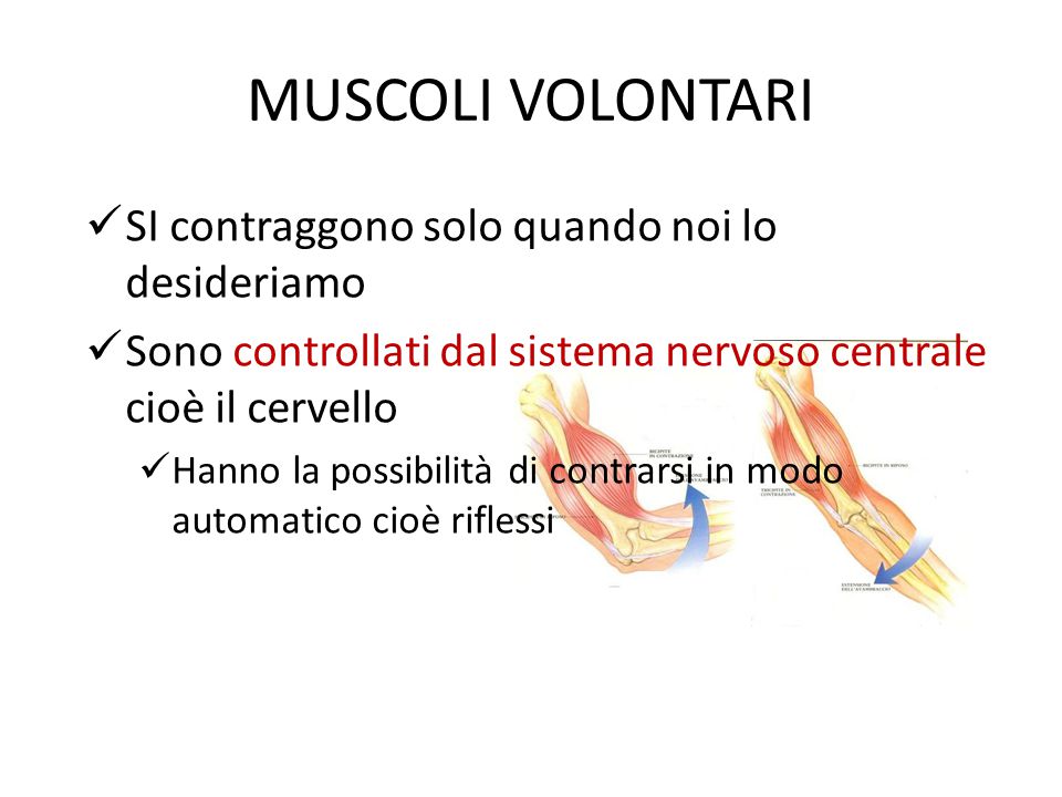 Il corpo umano at emaze Presentation