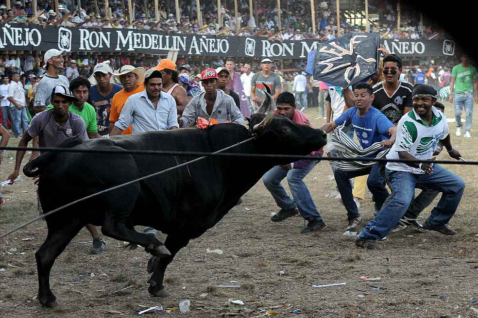 Corridas de Toros at emaze Presentation