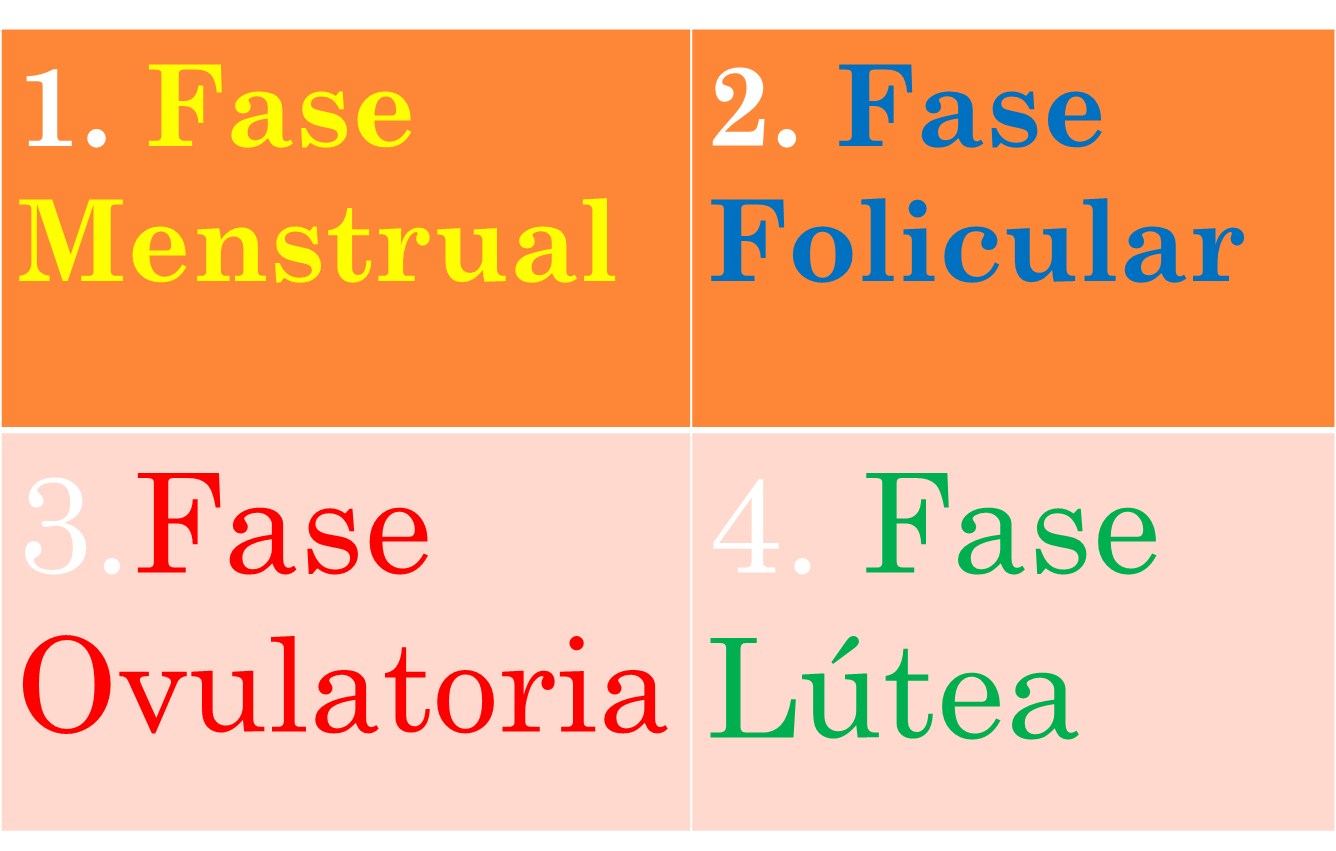 El ciclo menstrual on emaze