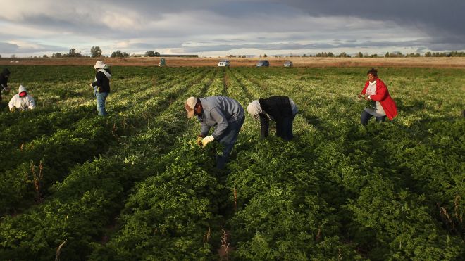 Canada at emaze Presentation