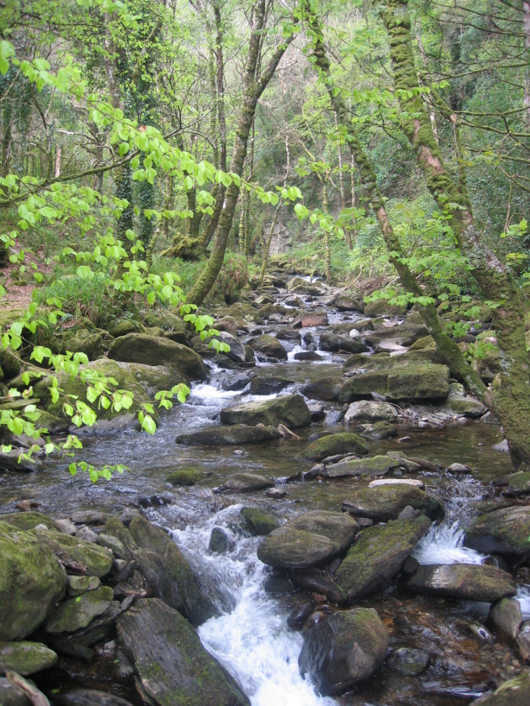 BUTT BUT,CREEK,CREAK BY RHETT AND EMILY on emaze