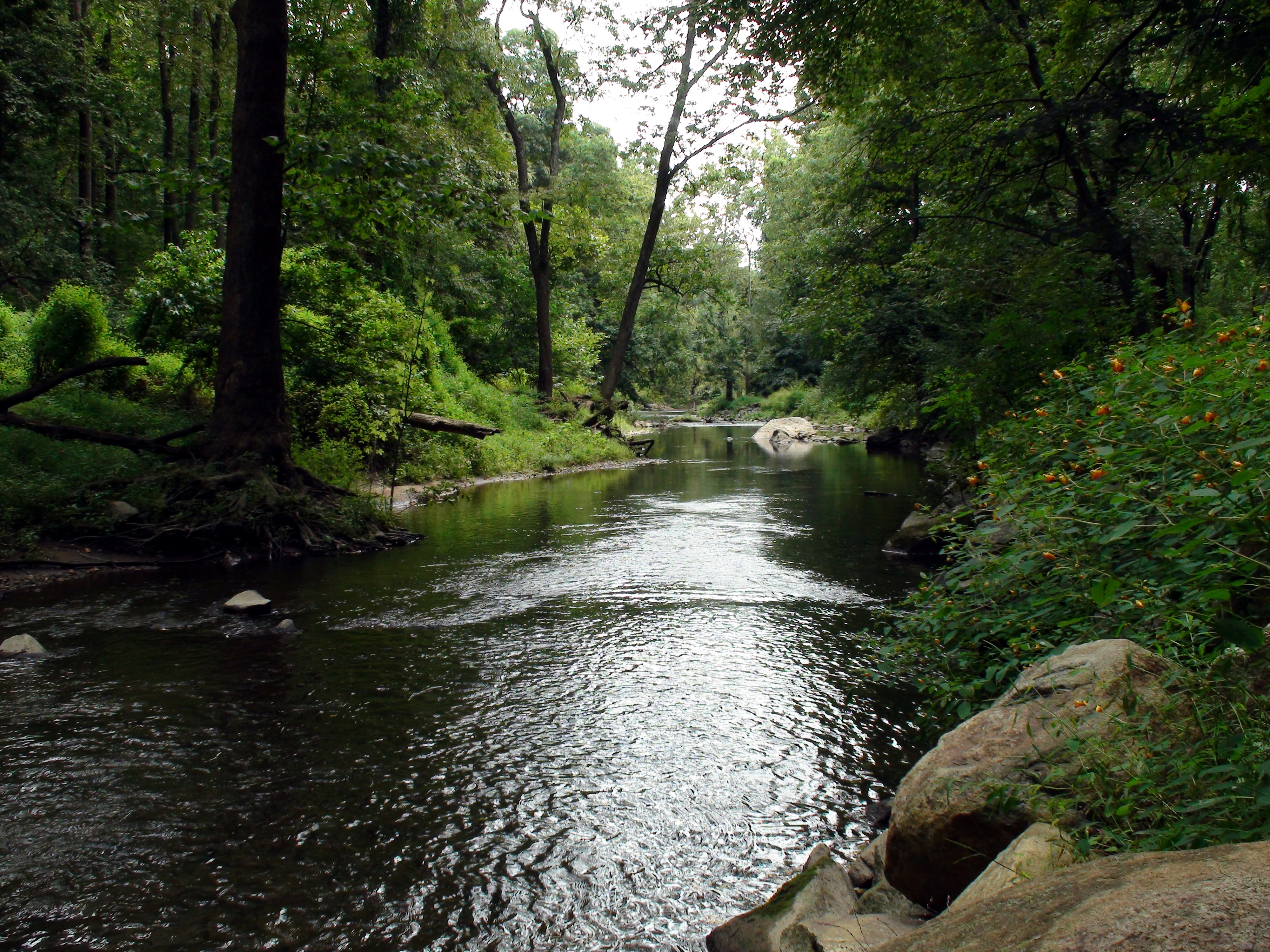 BUTT BUT,CREEK,CREAK BY RHETT AND EMILY on emaze