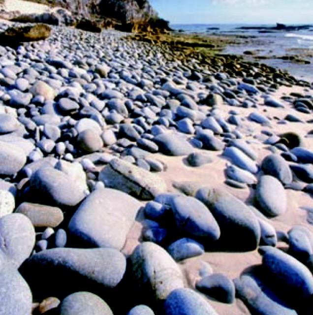 Texture Gradient Psychology