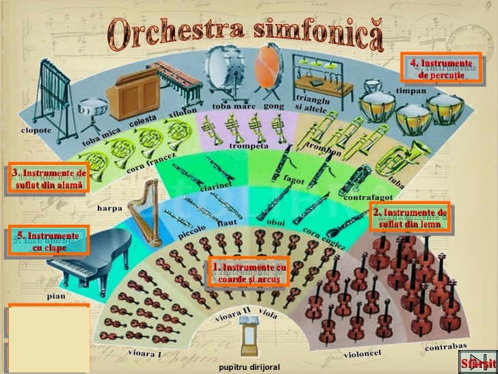 Instrumentele muzicale on emaze