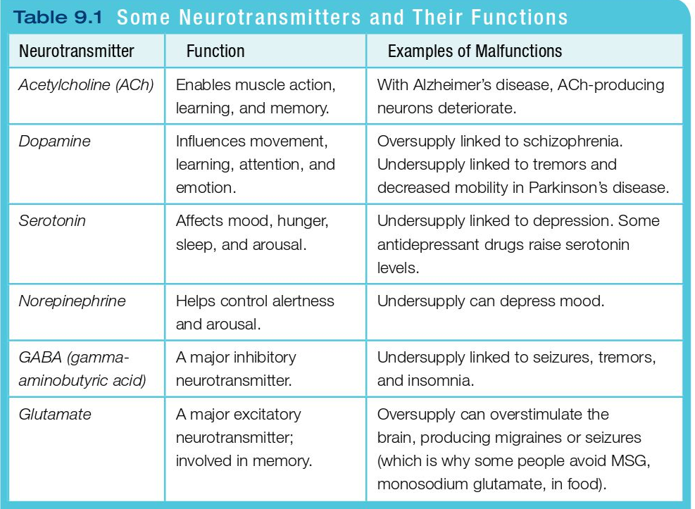 Biological Psychology and Neurotransmission on emaze