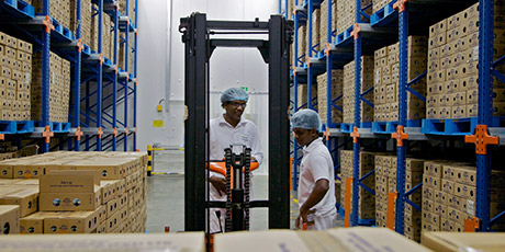 😊 Fonterra brands lanka pvt ltd in biyagama. Intern. 2019-01-15