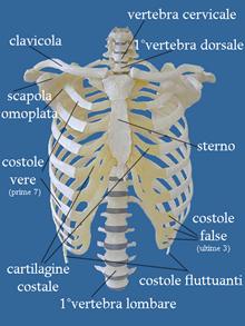 LO SCHELETRO on emaze