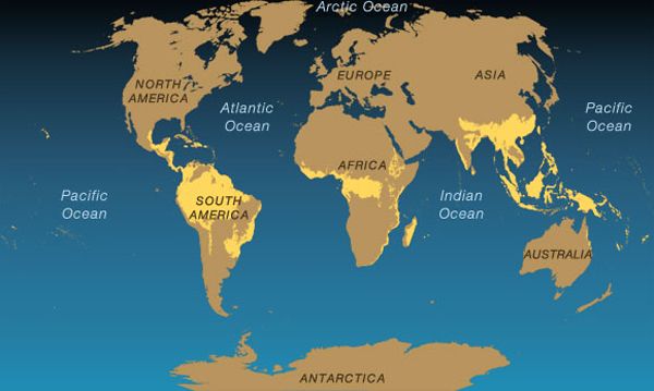 Tropical/subtropical on emaze