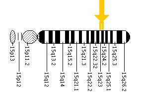 Tay-Sachs Disease on emaze