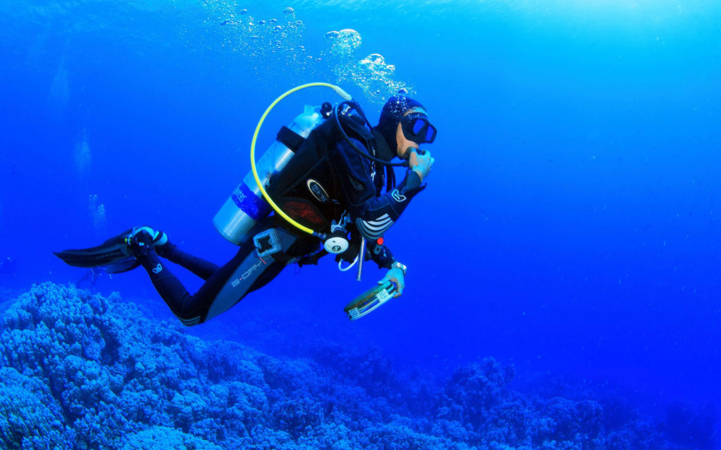 QUÍMICA Y SUBMARINISMO on emaze