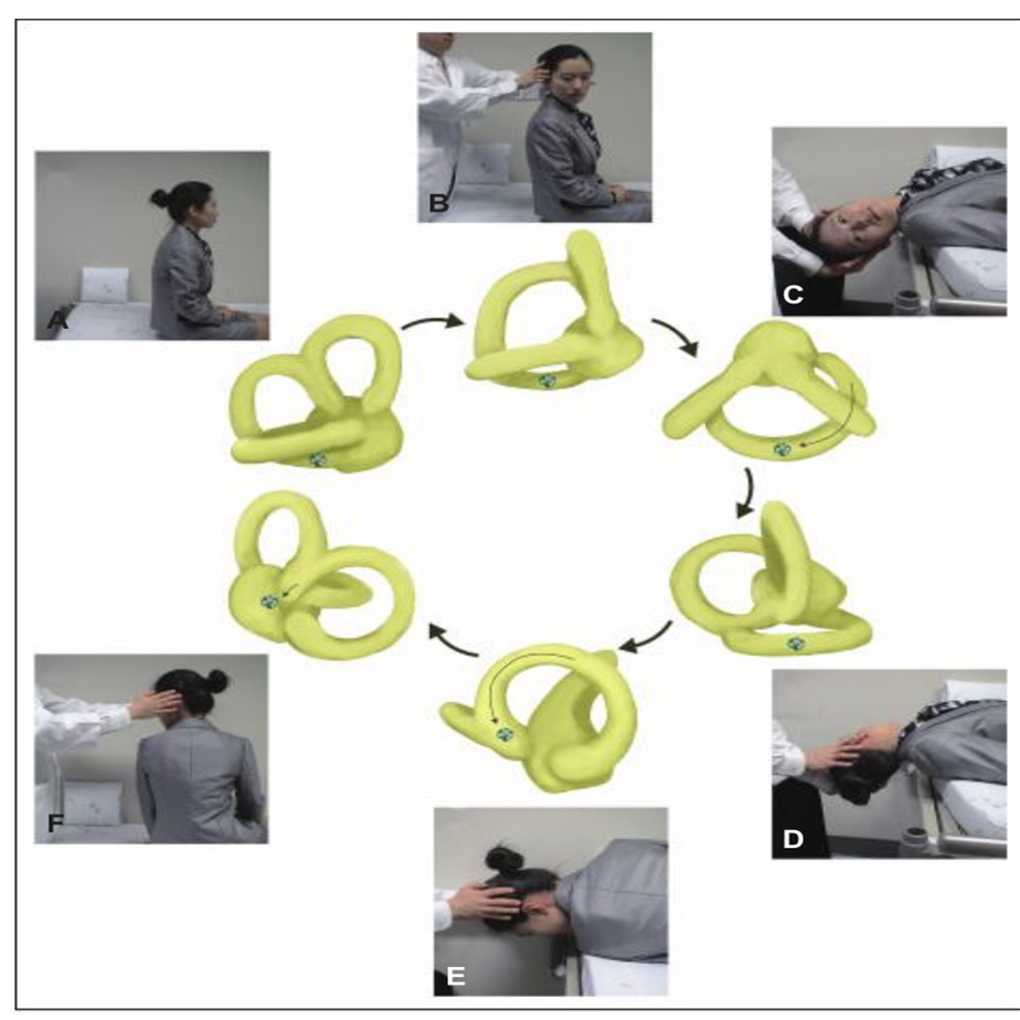 Academic at emaze Presentation