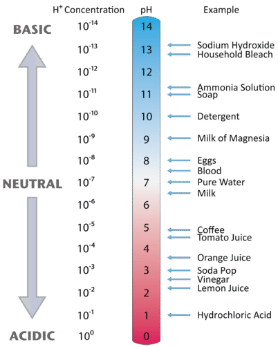 PH Scale and Logarithms on emaze
