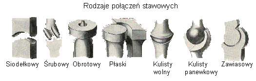 weronika at emaze Presentation