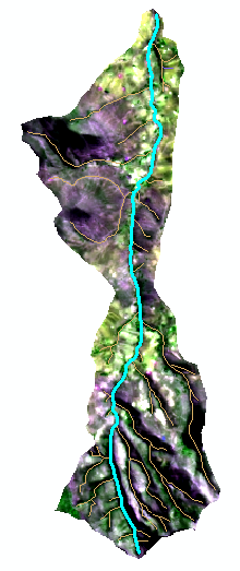 caracteristicas del cauce principal on emaze