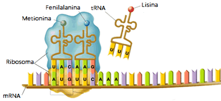 Biología on emaze