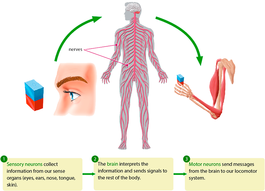 interaction at emaze Presentation