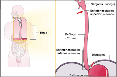 Presentation Name at emaze Presentation