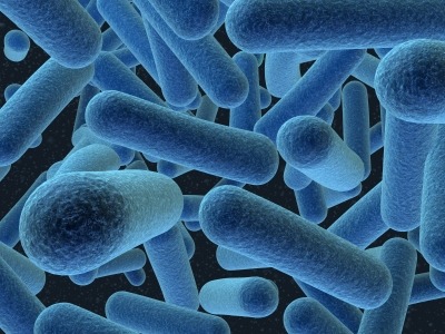 REINO archaea at emaze Presentation