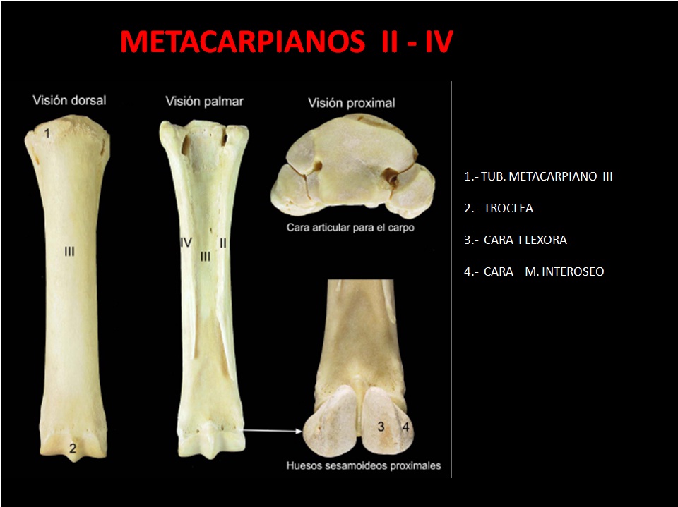 2da Reunión del on emaze