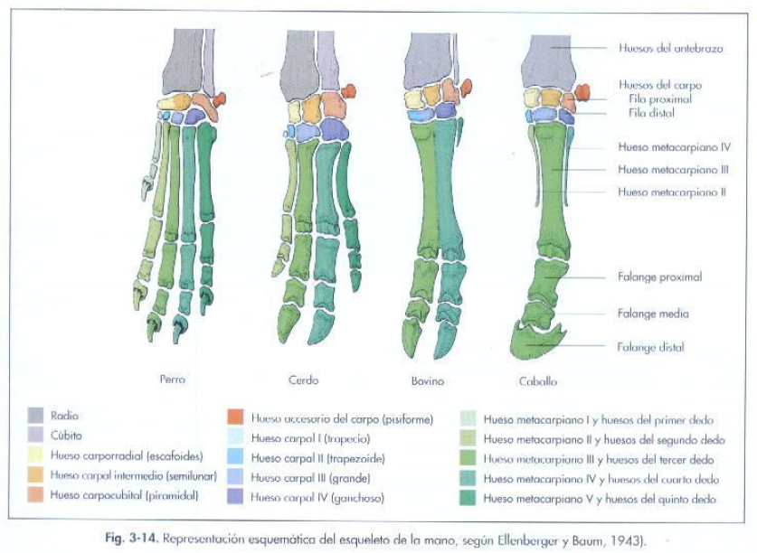 2da Reunión del on emaze