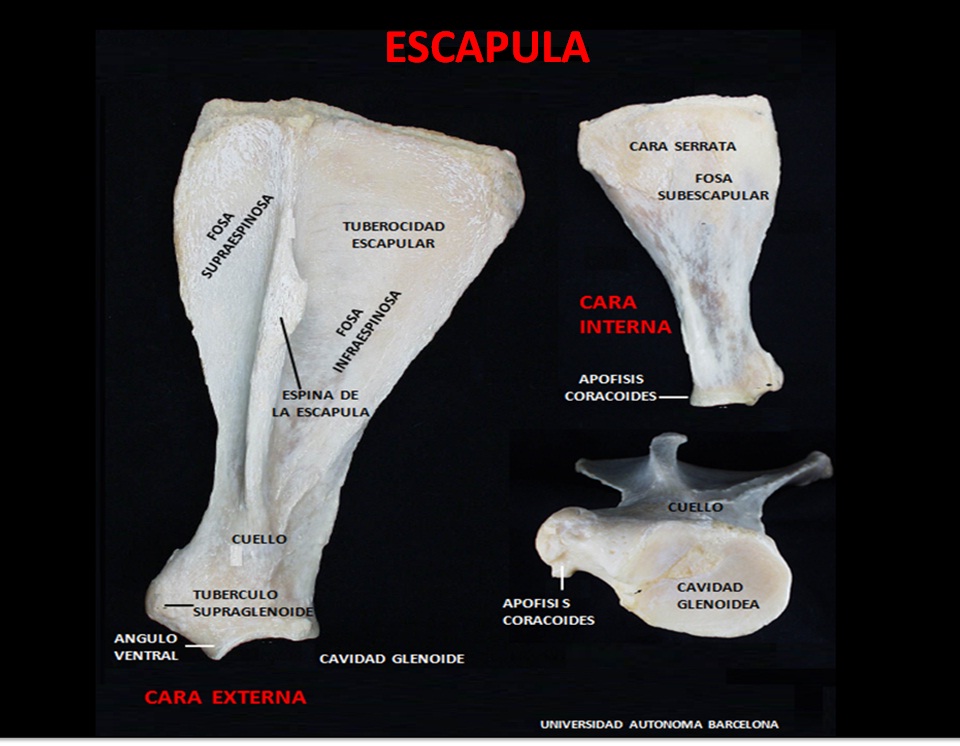 2da Reunión del on emaze