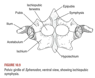 Presentation Name on emaze